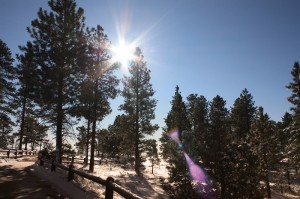Summerhaven, Arizona | The Ritz-Carlton Residences, Dove Mountain